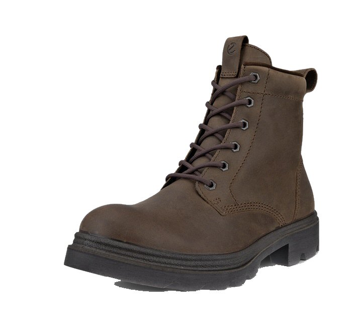 ECCO Winterstiefel Grainer 6IN Boot Warm (Ecco-Leder, wasserabweisend ...