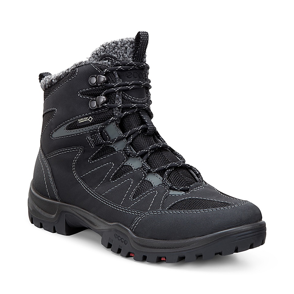 ECCO Winter-Wanderschuhe Xpedition III High Warm (wasserdicht) schwarz ...